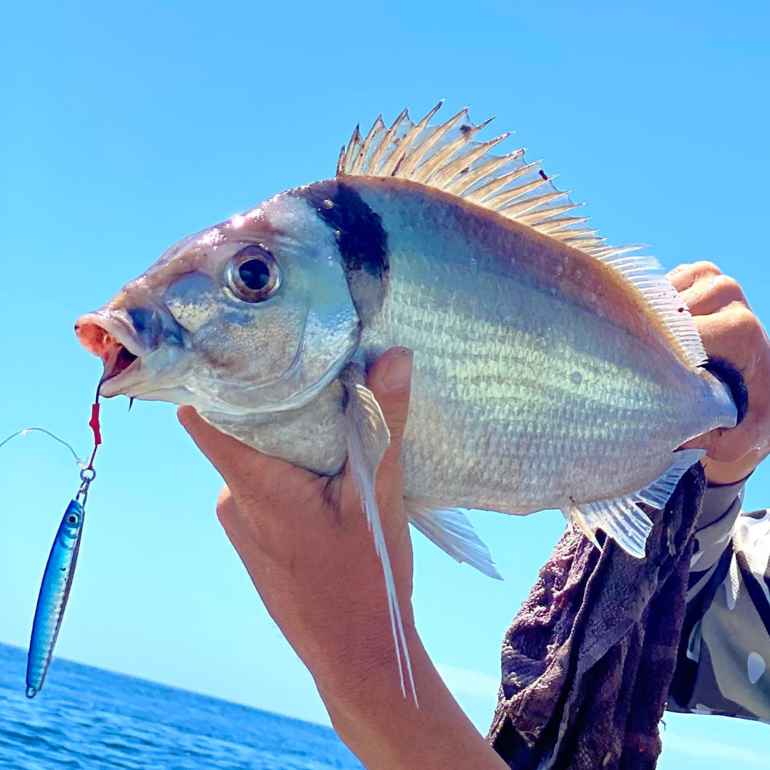 Ocean Angler | New Zealand Lure Fishing Experts