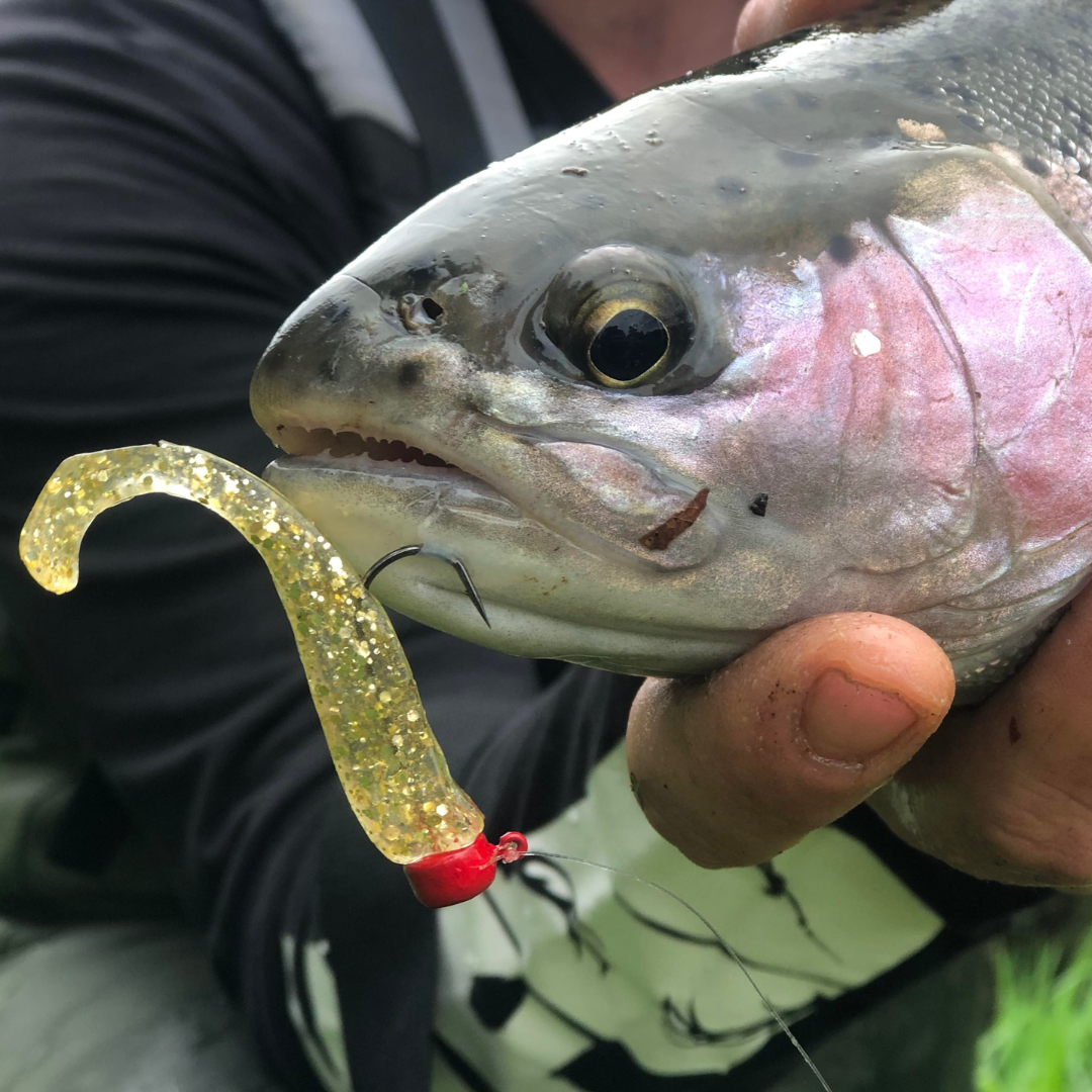 Ocean Angler | New Zealand Lure Fishing Experts